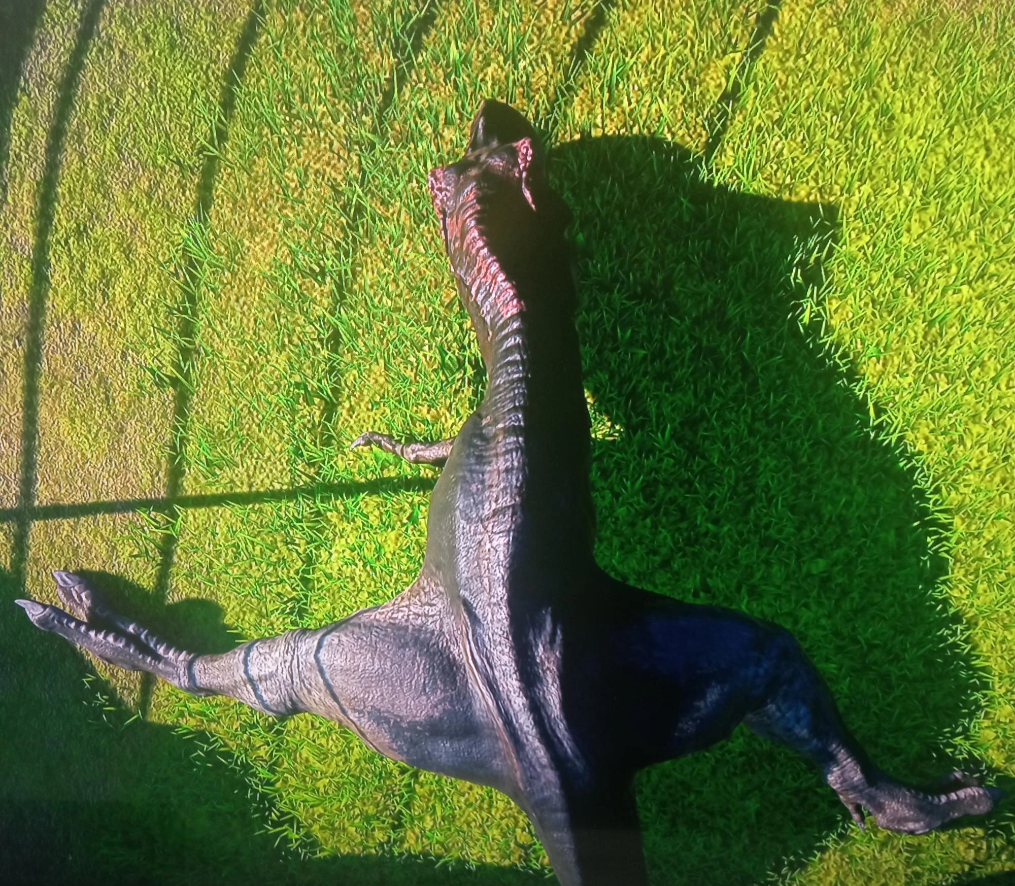 Tyrannosaurus having a bad day | Fandom