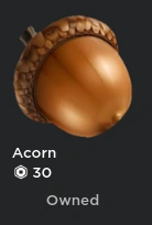 GET THE ACORN WHILE IT'S STILL IN THE STORE | Fandom