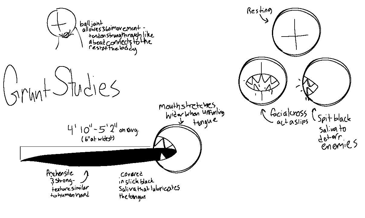 more detailed study of the grunt face hcs | Fandom