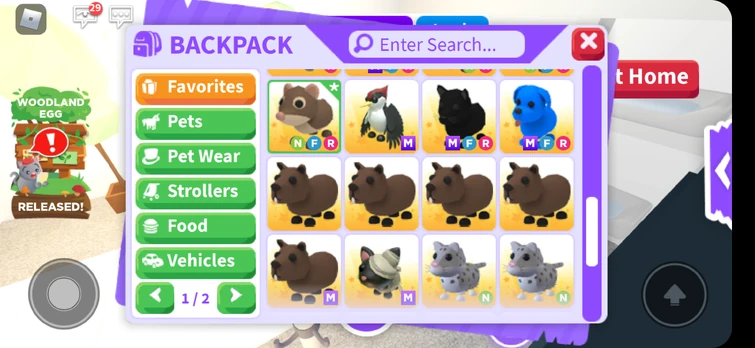 Discuss Everything About Adopt Me! Wiki | Fandom