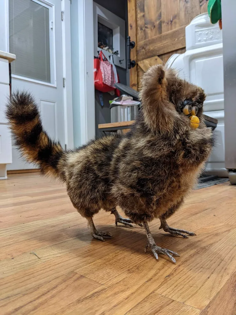 Real life Furby... | Fandom