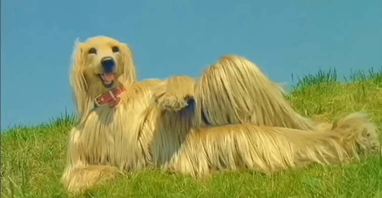 Consome consome consome panchi | Fandom