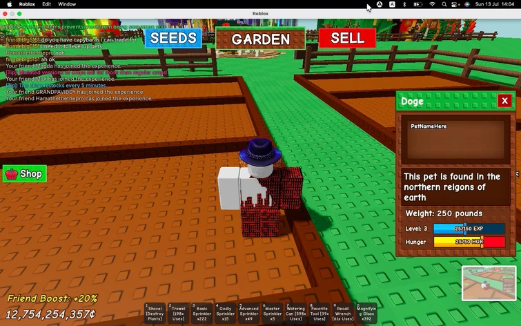 strange doge thing | Fandom