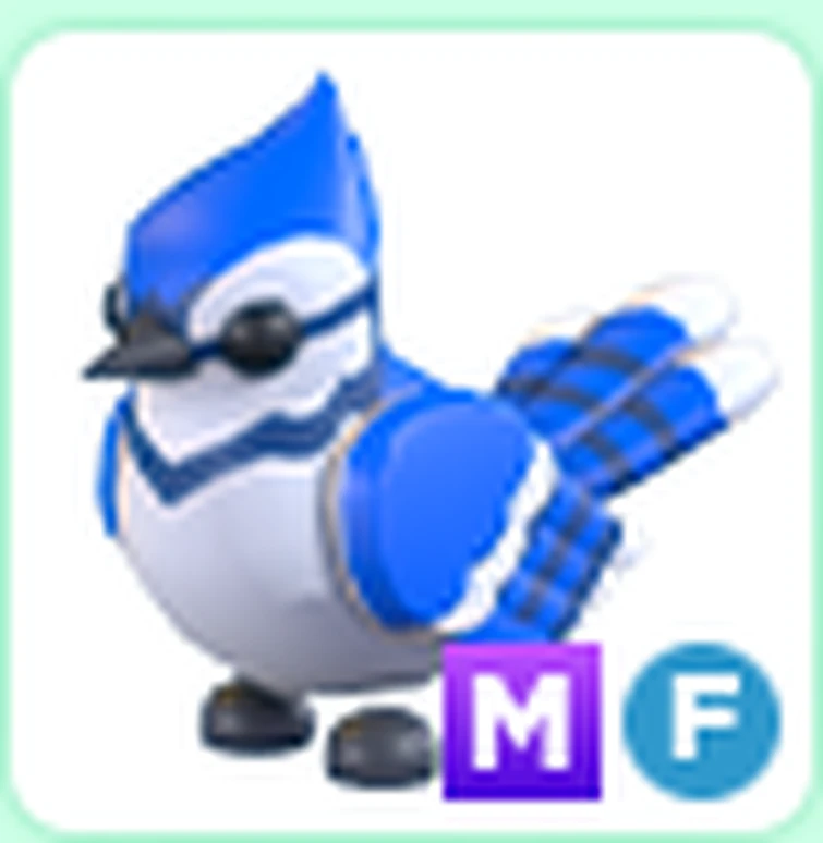 As promised, Mega Neon Blue Jay complete! | Fandom