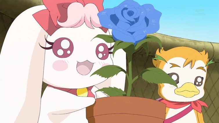 The information of Milky Rose/Kurumi Mimono/Milk (on 20th Anniversary ...