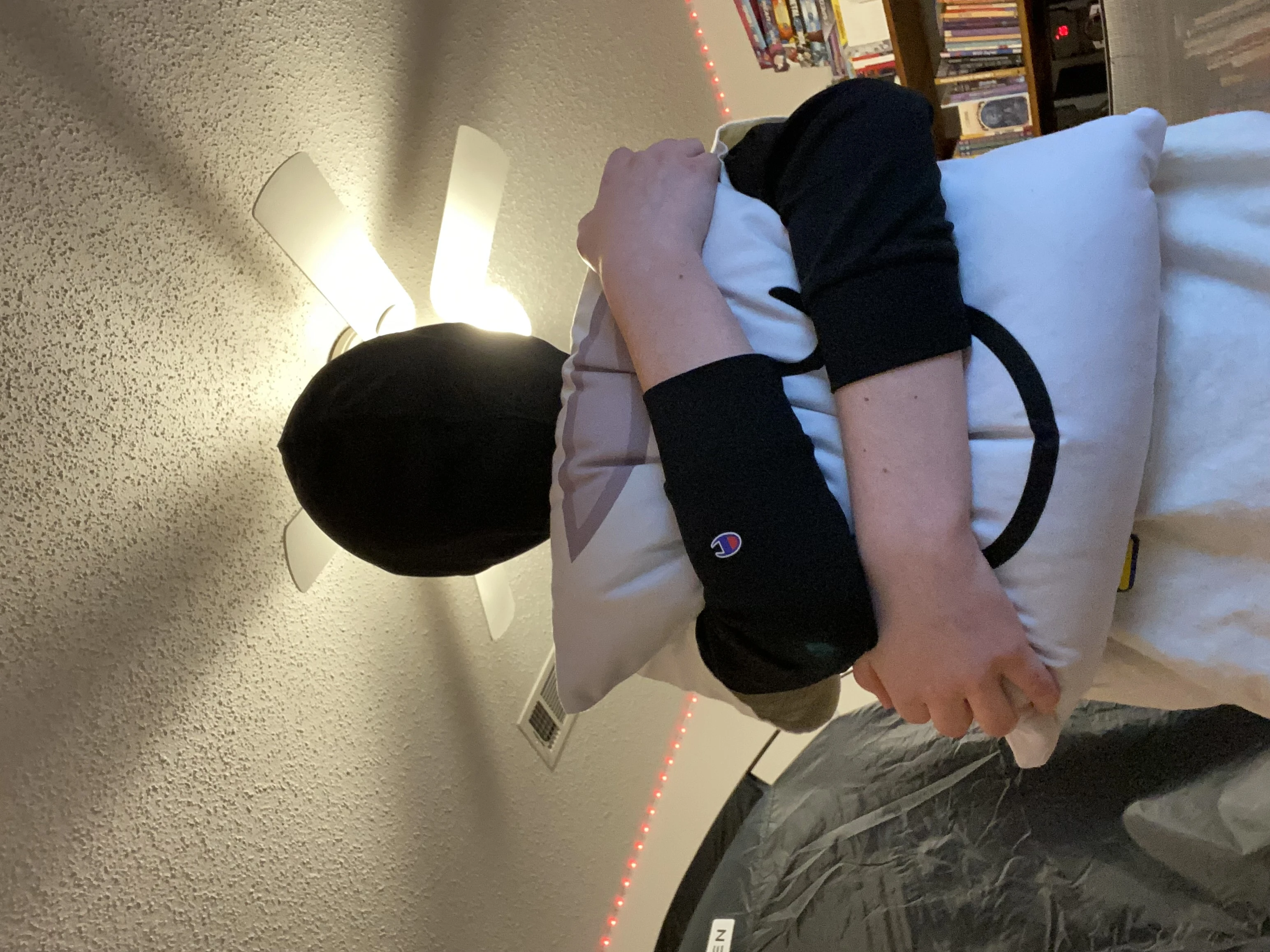 THEY ALREADY MADE A PILLOW PILLOW | Fandom