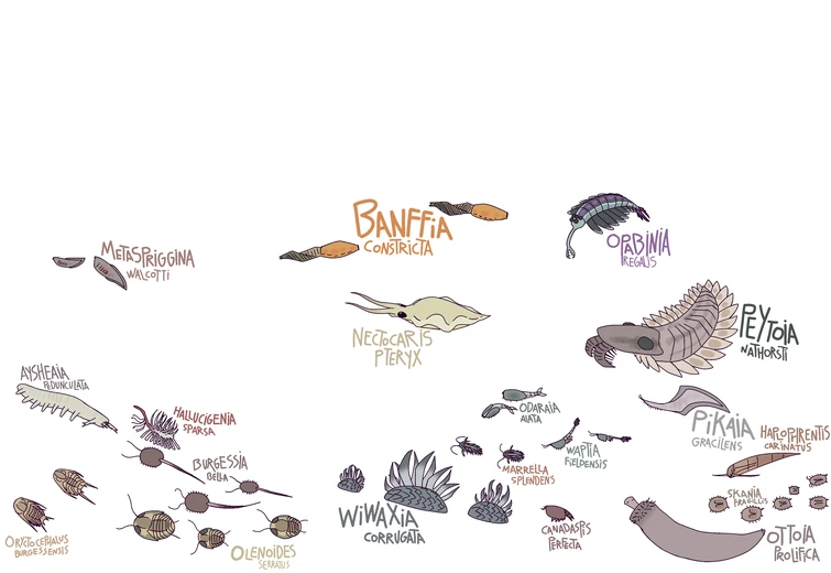 Discuss Everything About Dinopedia | Fandom