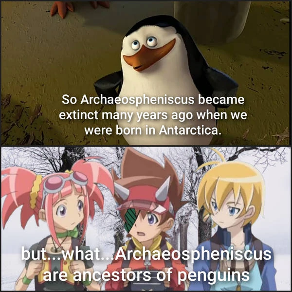 Skipper's meme | Fandom