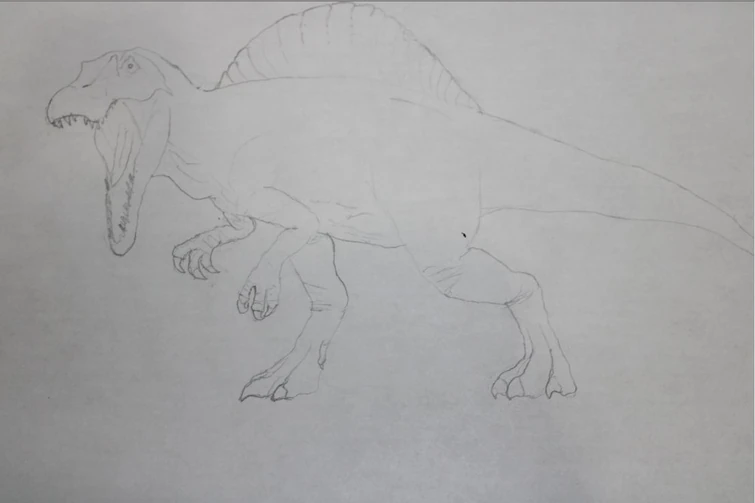 Drawing of the Spino | Fandom
