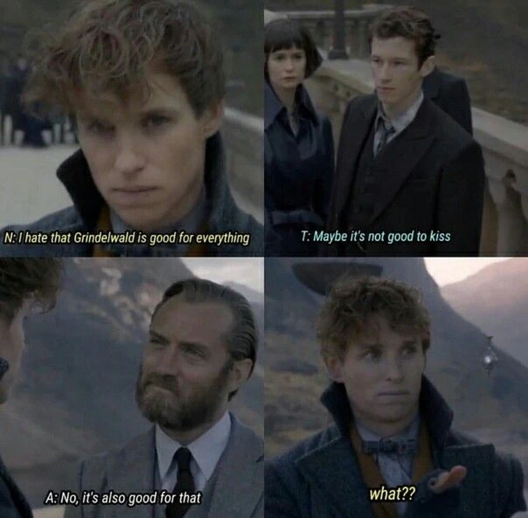 I’m kinda bored so here’s some grindeldore and wolfstar memes