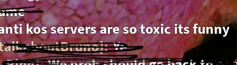 I stumbled upon a anti kos server | Fandom