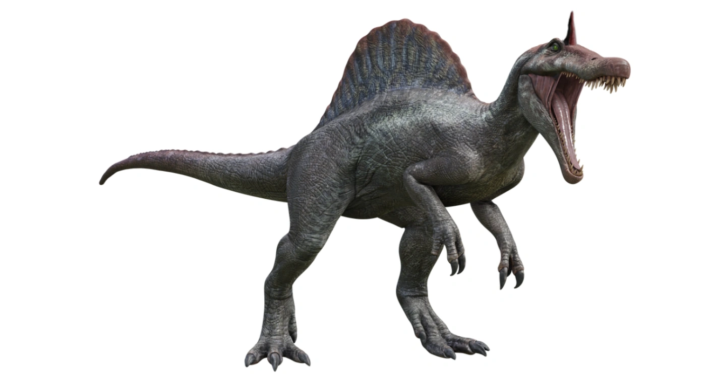 Spinosaurus Mirabilis as a Jurassic Park/World dinosaur. | Fandom