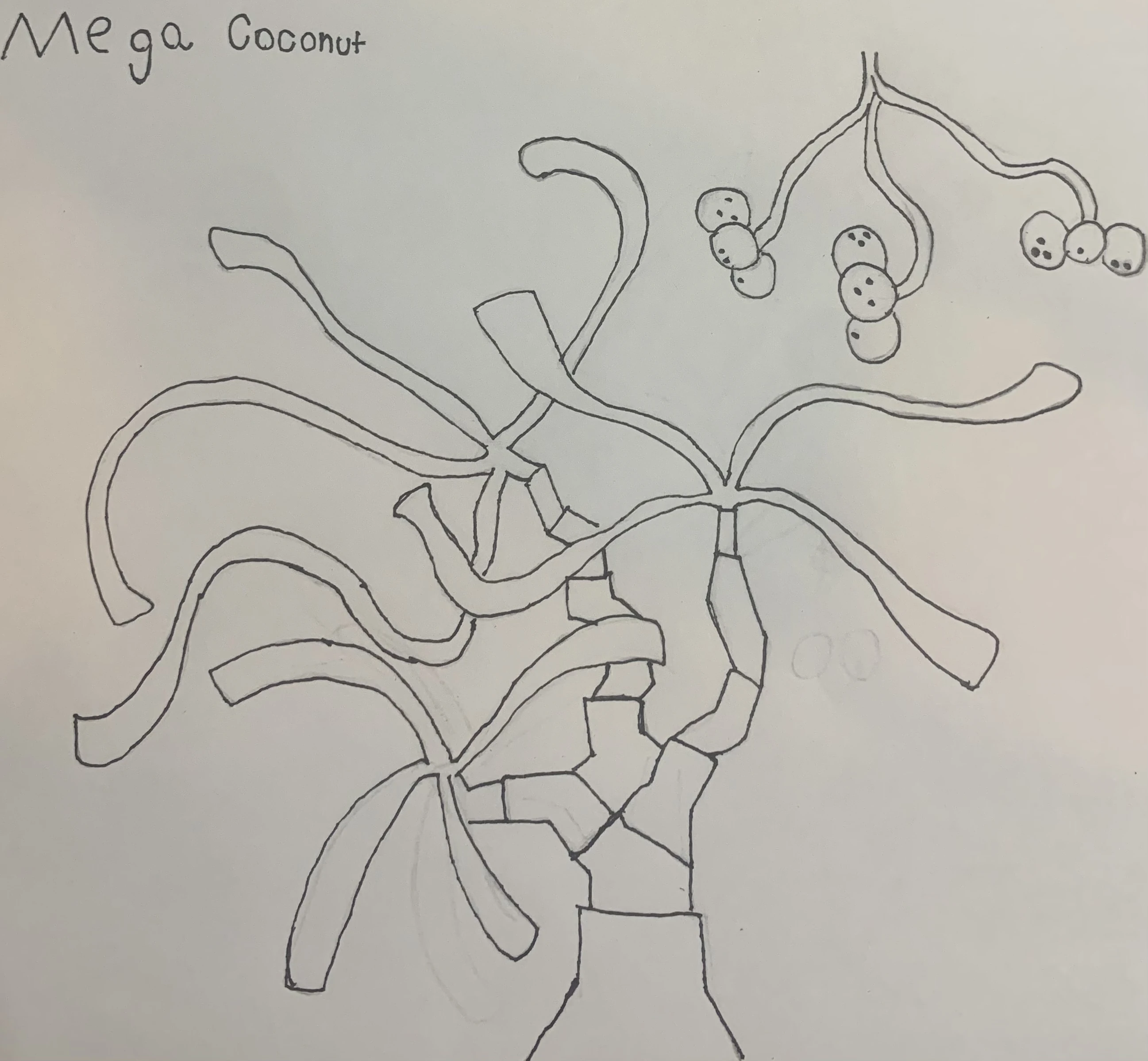 Mega Coconut is finished! | Fandom