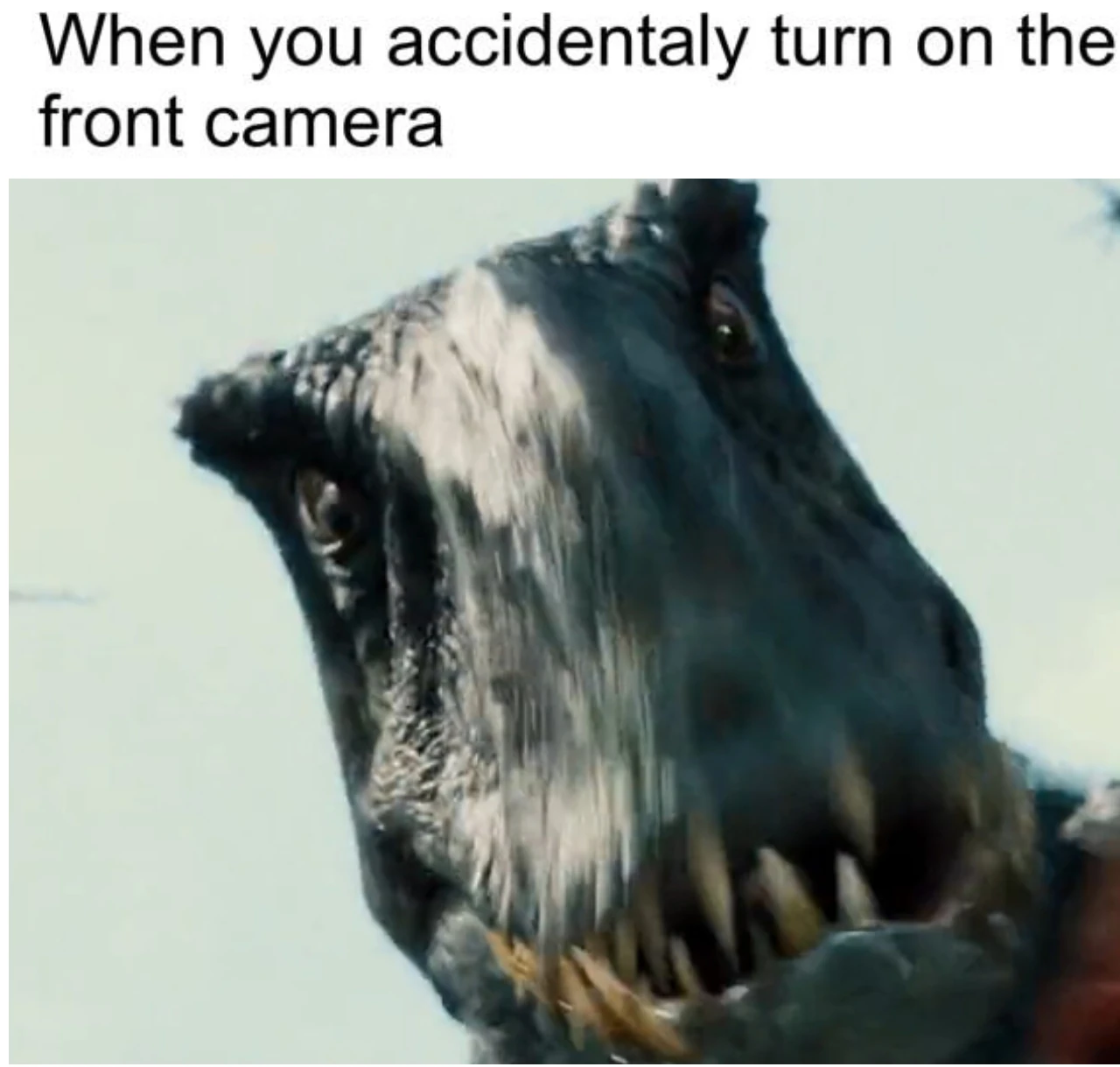 Ah welcome back to another Triassic Jurassic memes. | Fandom