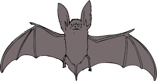 Bat | D20 Modern Wiki | Fandom