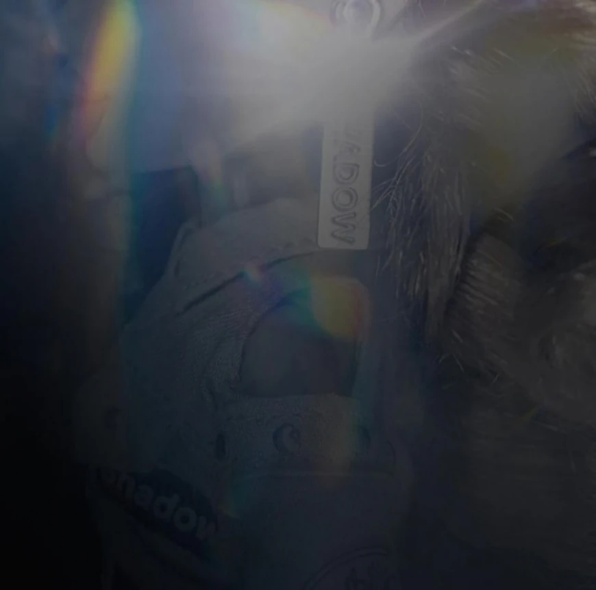 New Shadow High Preview! | Fandom