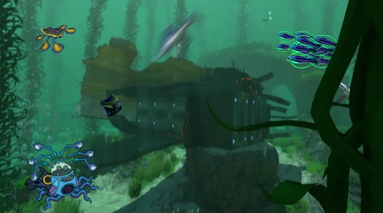 An unknown world: the kelp forest | Fandom