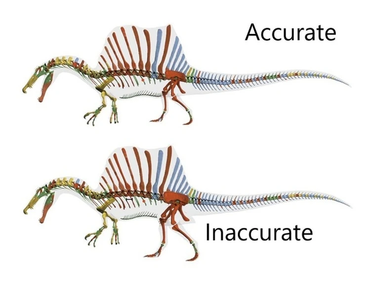 Spinosaurus meme | Fandom