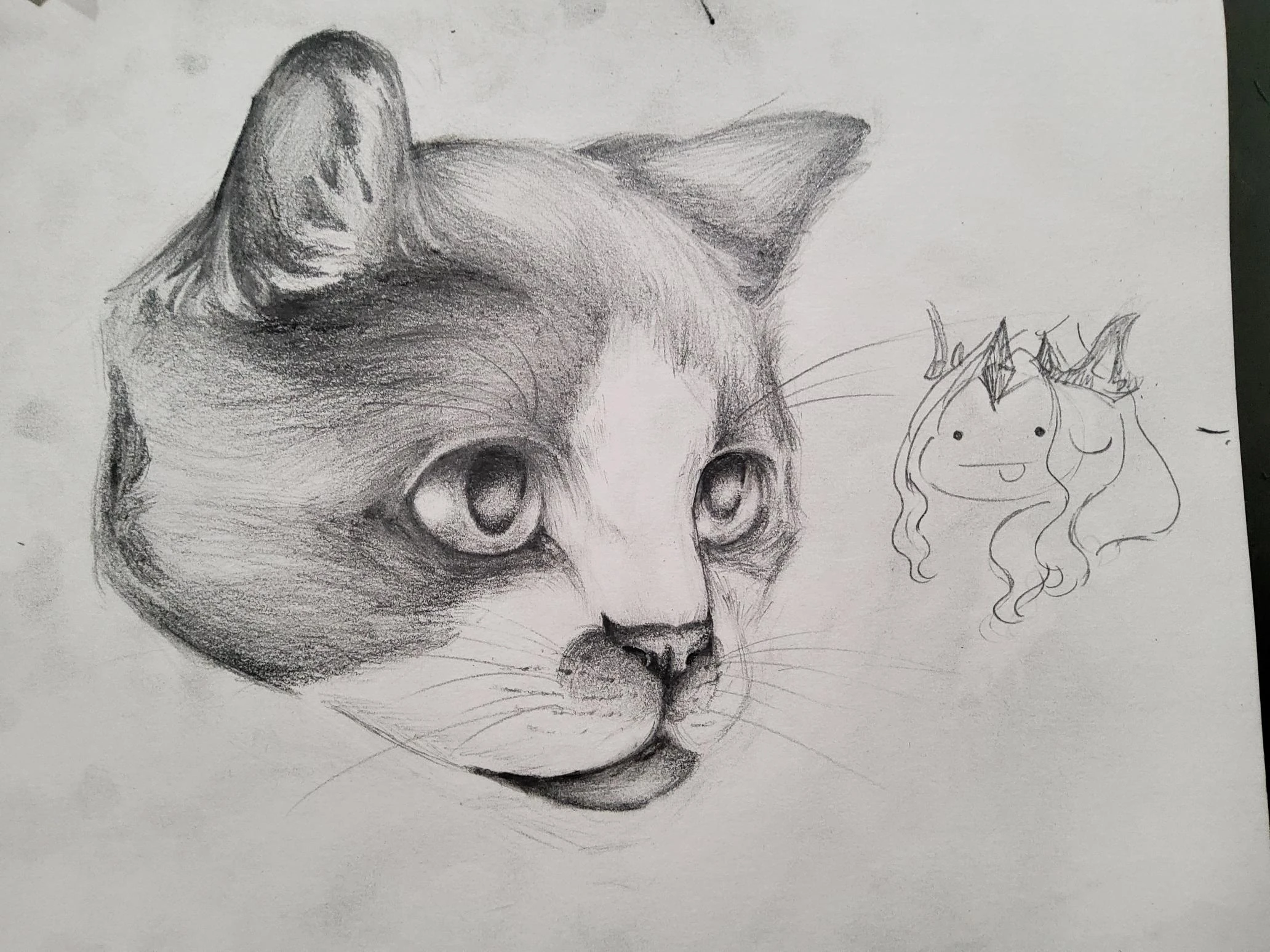 mah cat (well, deceased cat) | Fandom