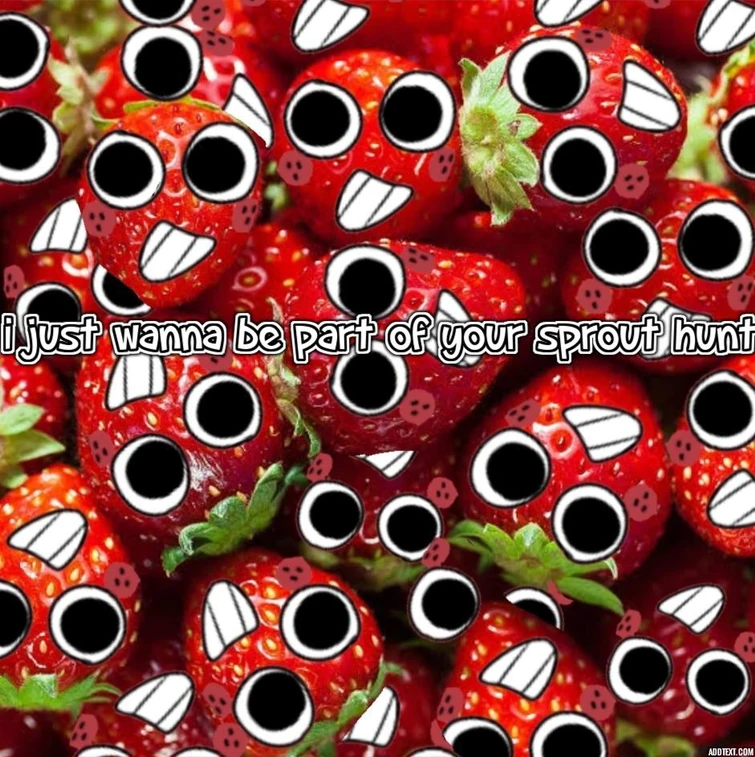 Objective: find bald sprout. | Fandom