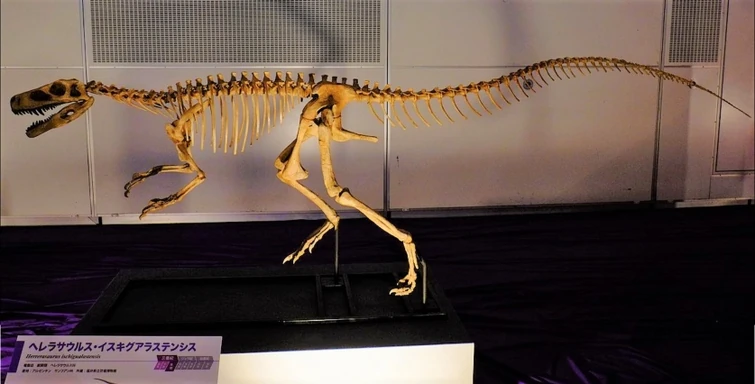 Paleo exhibit | Fandom