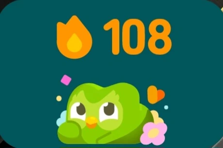 Every Duolingo widget I have a screenshot of (so far) | Fandom