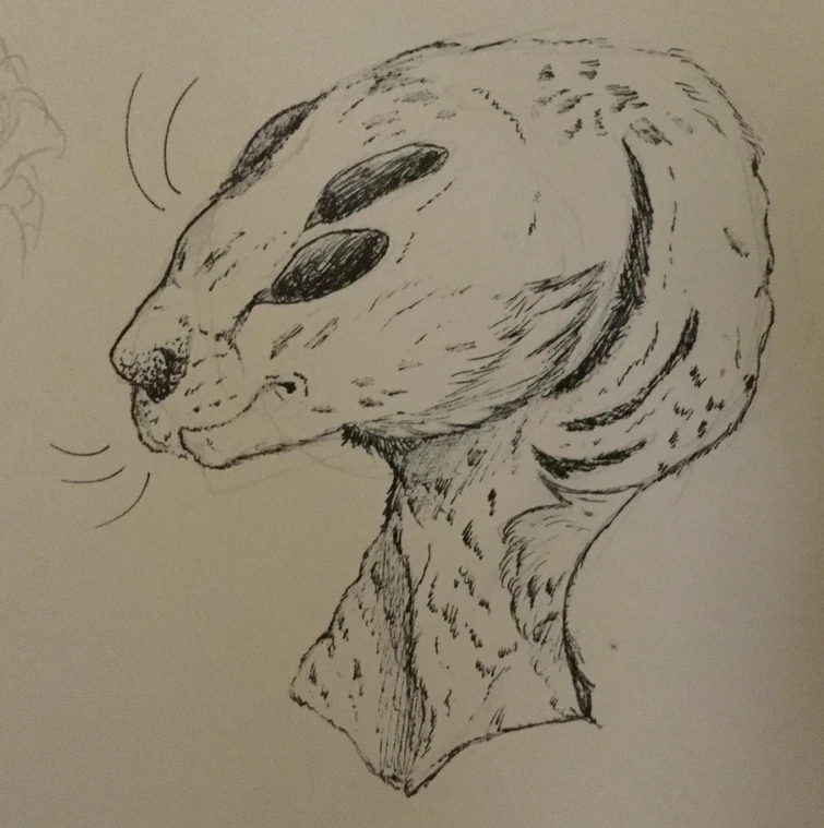 doing free COS comms/customs for company | Fandom