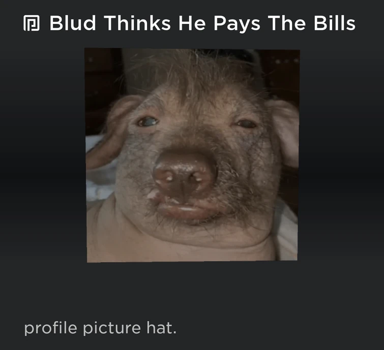 Best leader for the NiC wiki? | Fandom