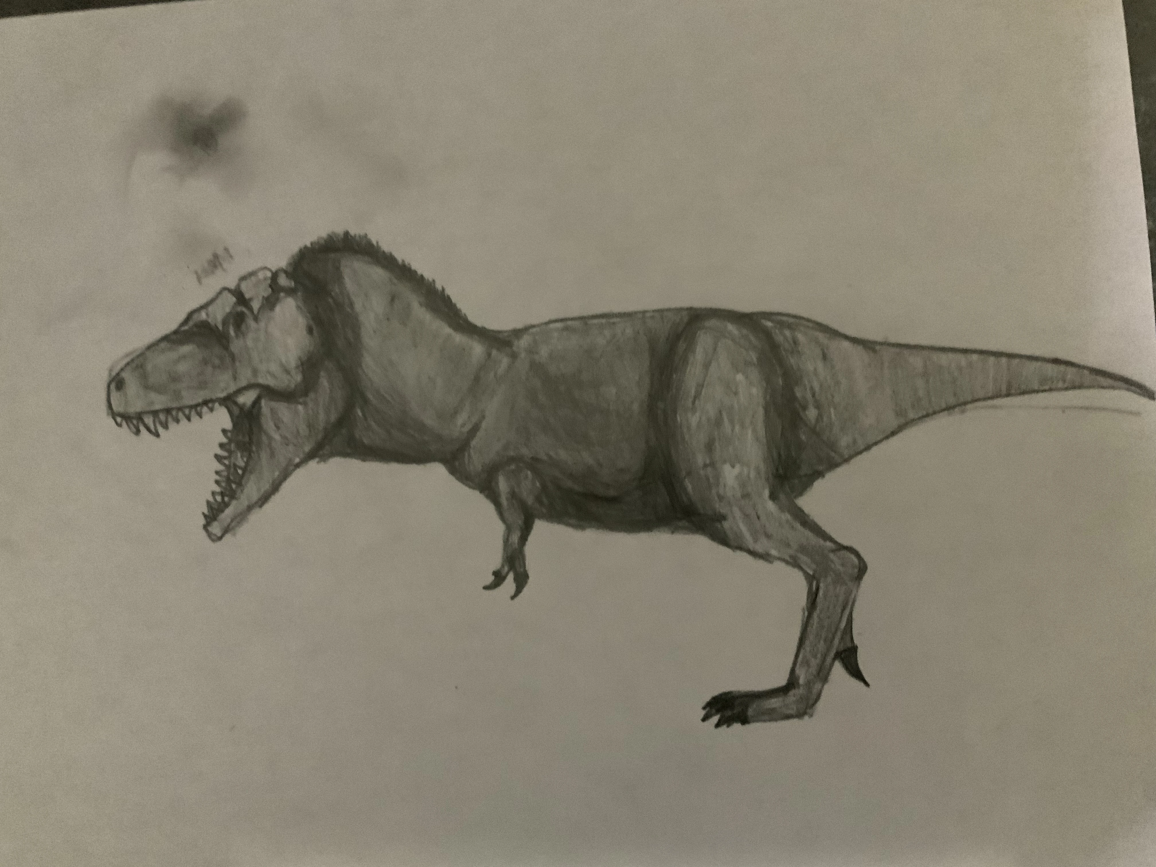 Rex | Fandom