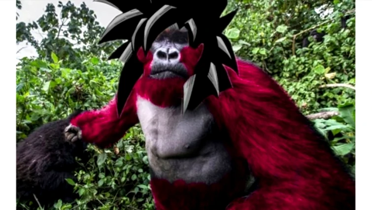 Cursed Images #16 | Fandom