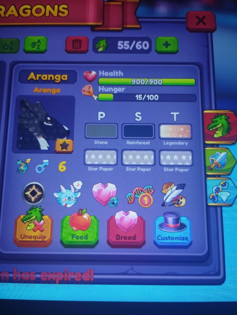 Discuss Everything About Dragon Adventures Wiki | Fandom