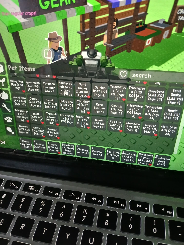 Searchibf for fennec fox | Fandom