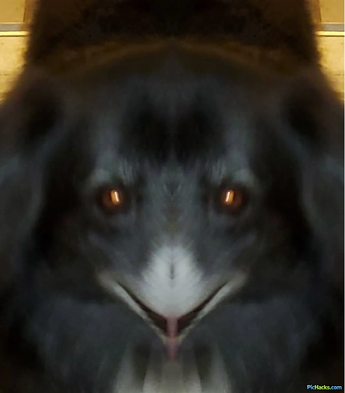 This is cursed | Fandom