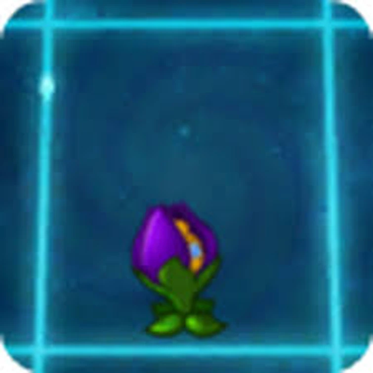 shrinking violet :] | Fandom