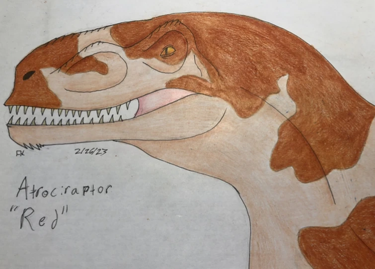 Atrociraptor “Red” | Fandom