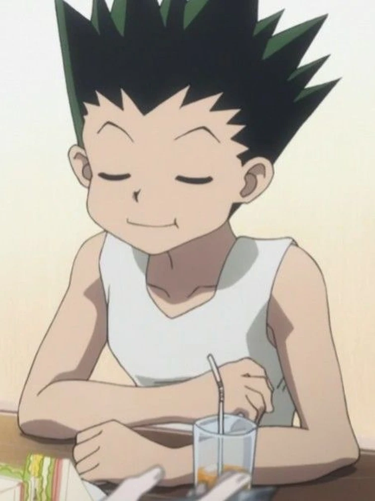 It's Gon's Birthday | Fandom