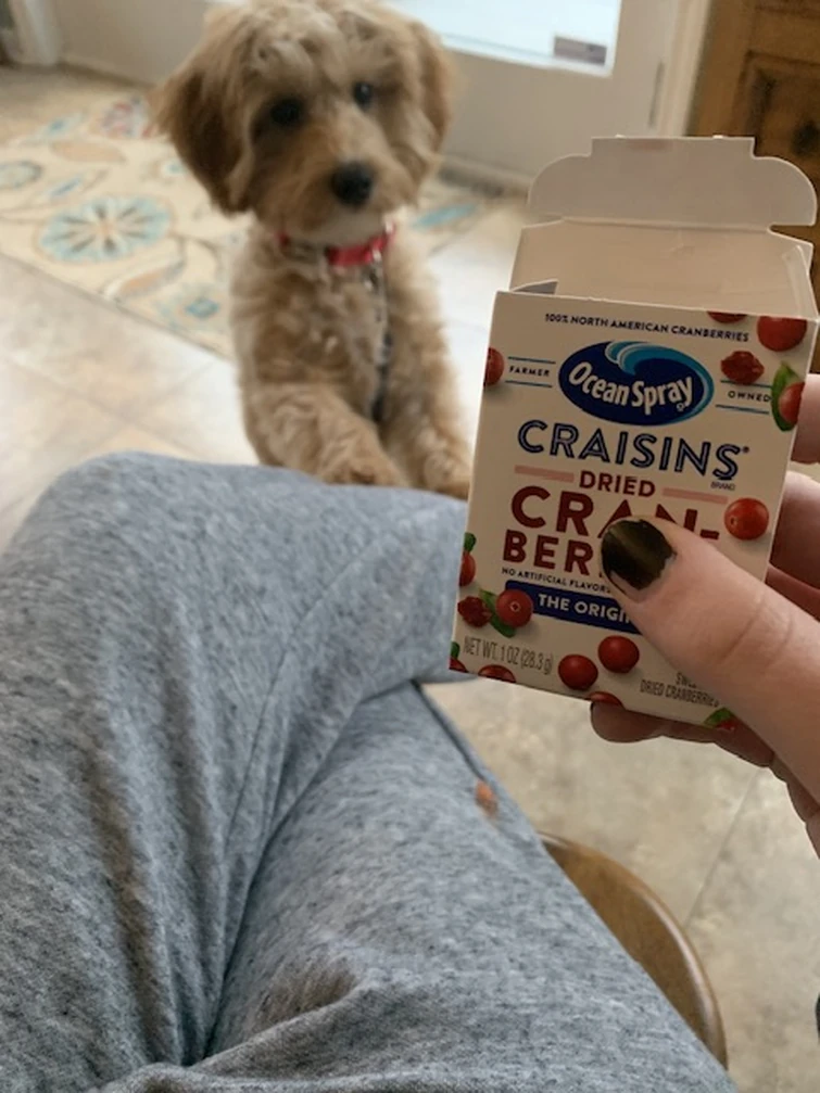 bro i’m not feeding him fucking poison | Fandom