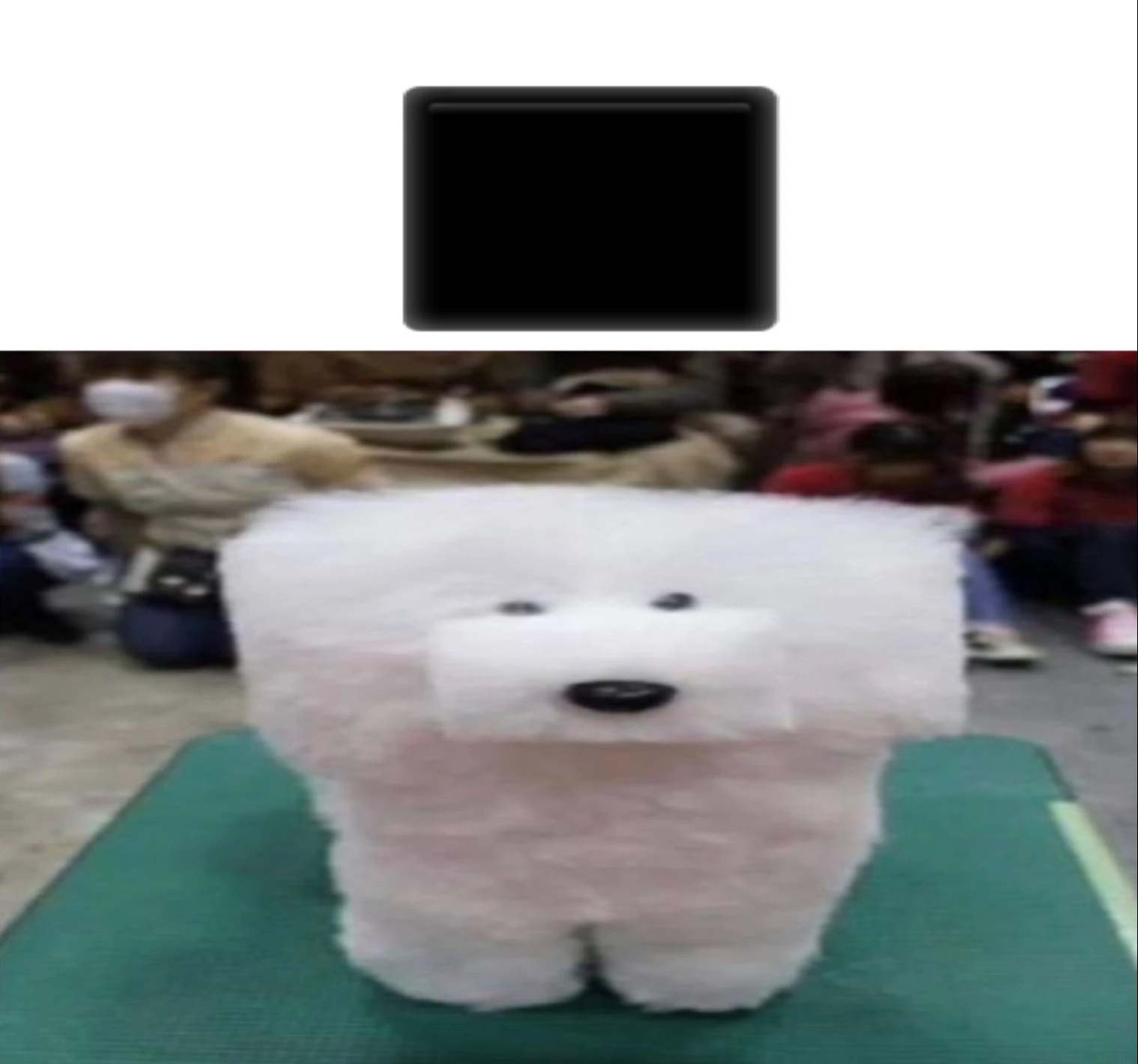 good morning :D | Fandom