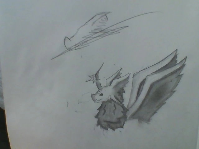 I drawed pee cat in my math bok | Fandom