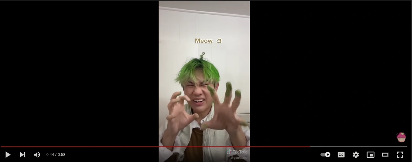 WHY REAL LIFE HOO HOO MAN | Fandom