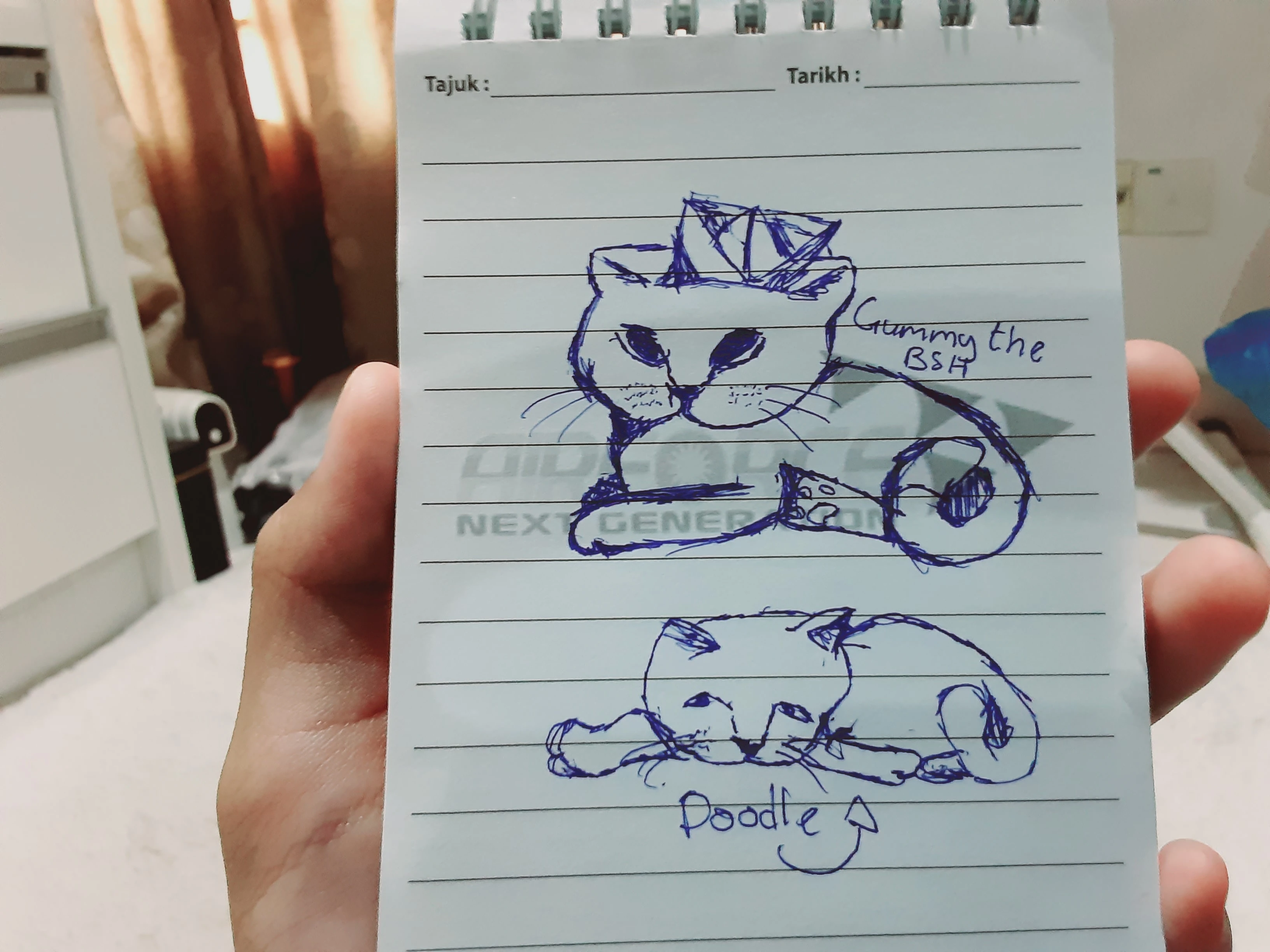 Not so detailed +not beautiful art | Fandom