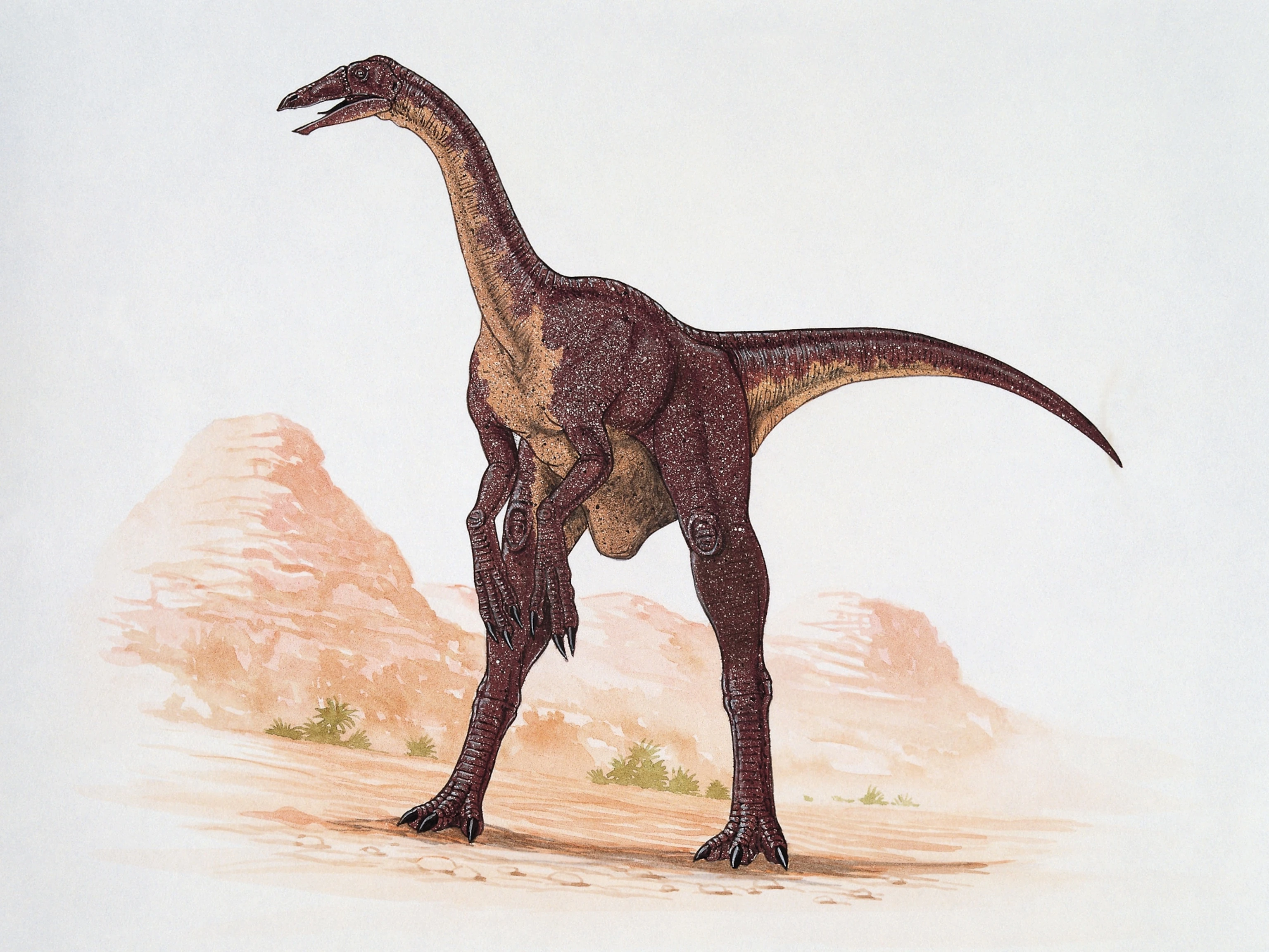 Dude, how different is Retro Deinocheirus from the new one | Fandom