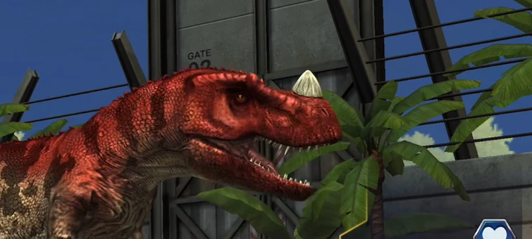 why is the cerato | Fandom