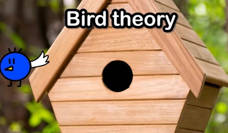 burdie / duck lore so far | Fandom