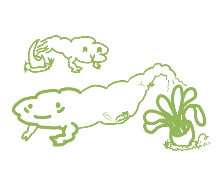 Plant quint leaks | Fandom