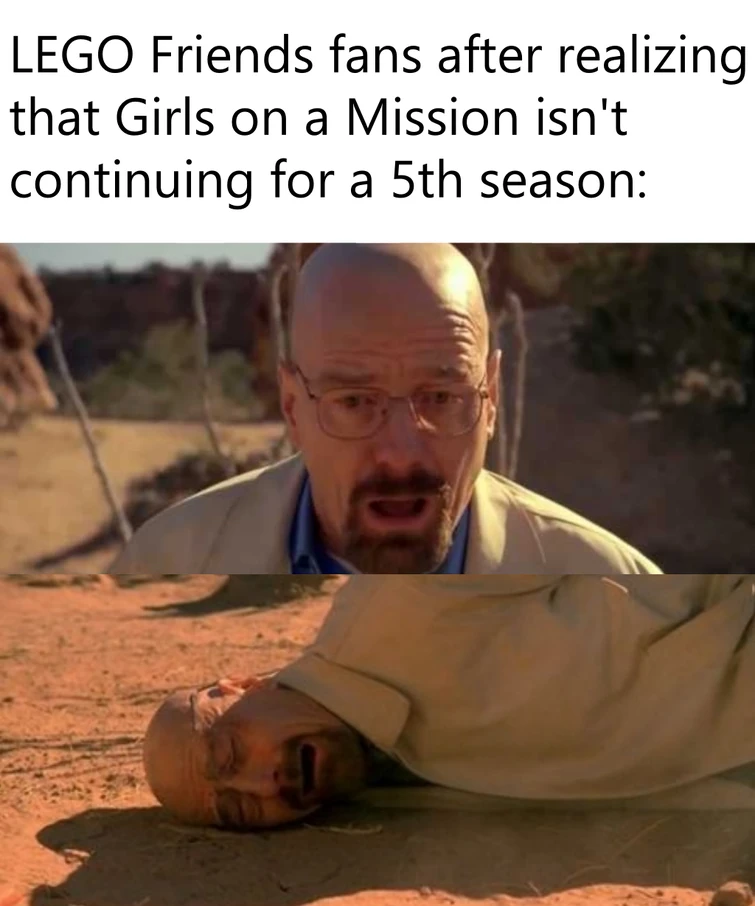 [Meme] LEGO Friends Slander | Fandom