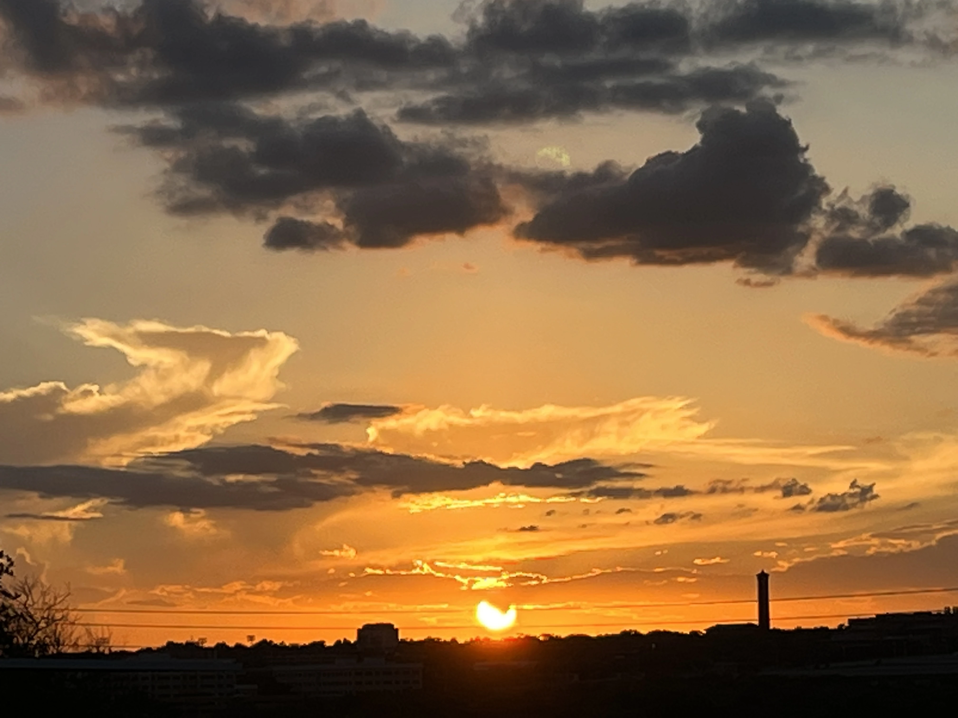 Sky | Fandom
