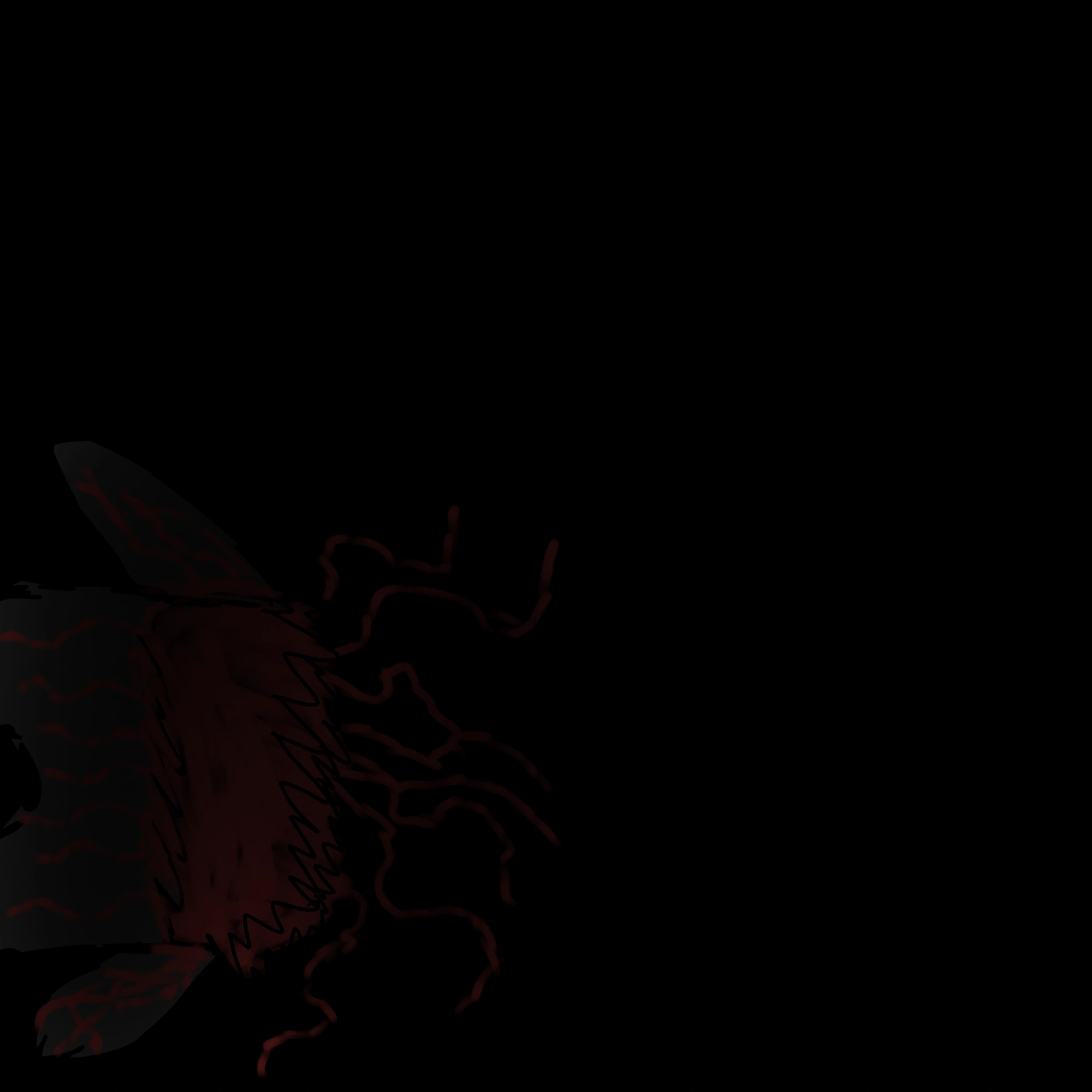 Shiky dies (Will contain disturbing content if you look enough) | Fandom