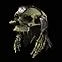 Unique Helms (Diablo II) | D2Revenge Wiki | Fandom