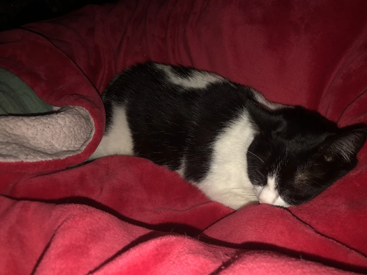 *takes picture of cta at 5 am* | Fandom